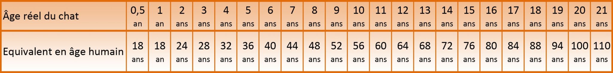 Vieillissement du chat : conseils indispensable à son bien-être